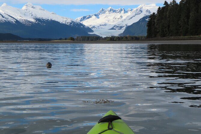 Juneau Small Group Sea Kayaking with Mendenhall Glacier Views - Pricing & Value