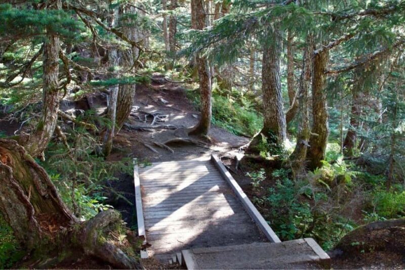 Juneau: Tram, Trails and Ale Tour - Authentic Insights from Reviewers