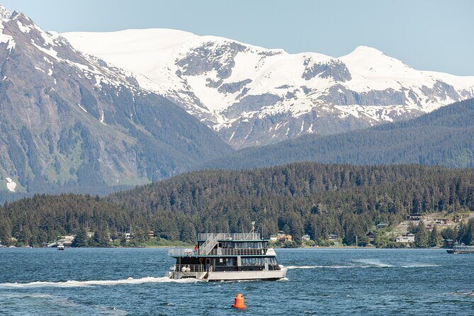 Juneau Whale Watch and Wildlife Quest - Pricing and Value: Is It Worth It?