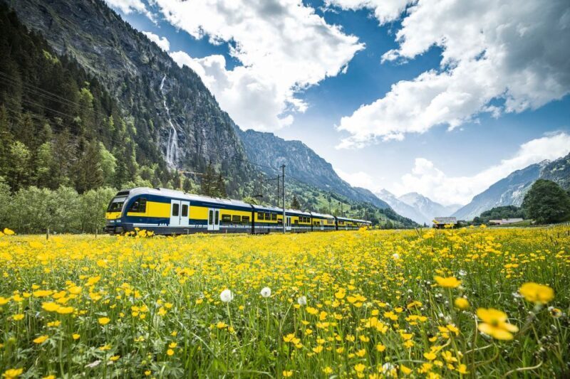 Jungfraujoch: Roundtrip to the Top of Europe by Train - Authentic Experiences and Traveler Feedback