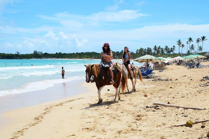 Jungle and Beach Horse Ridding round trip transportatin. - An In-Depth Look at the Tour Experience
