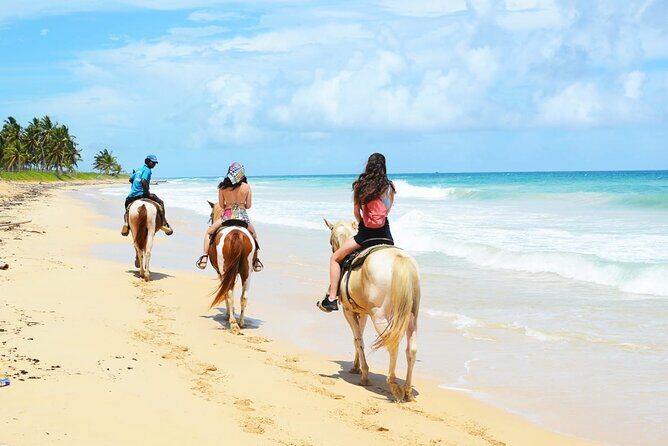 Jungle and Beach Horse Ridding round trip transportatin. - FAQ