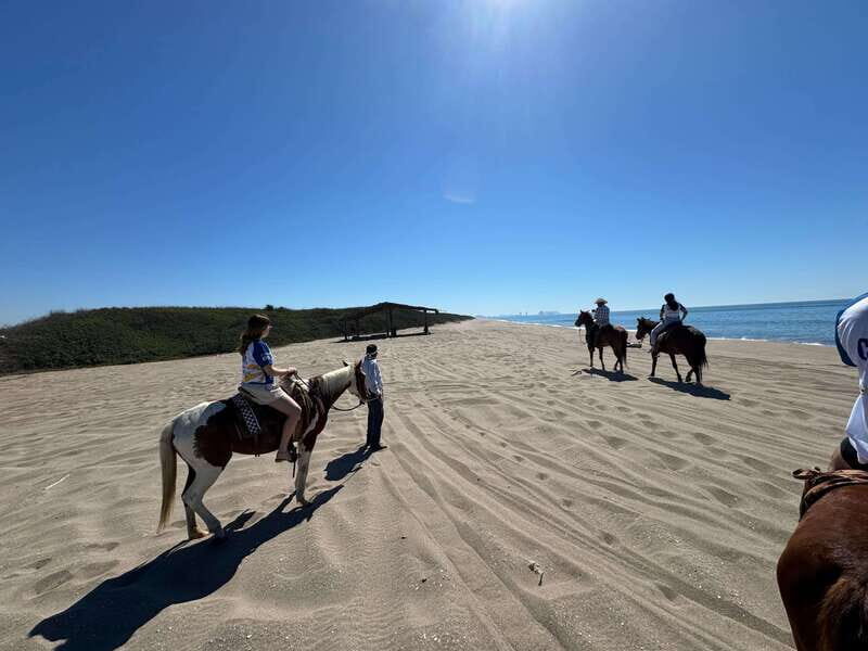 Jungle and beach horseback ride + lunch + mezcal - Lunch and Mezcal Experience: A Taste of Local Mexico