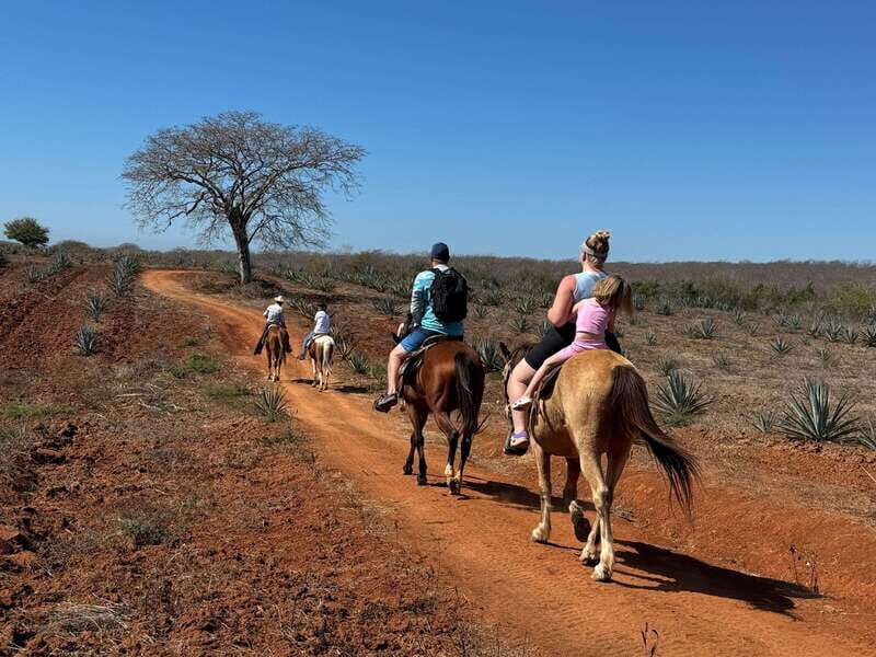 Jungle and beach horseback ride + lunch + mezcal - Authenticity and Value