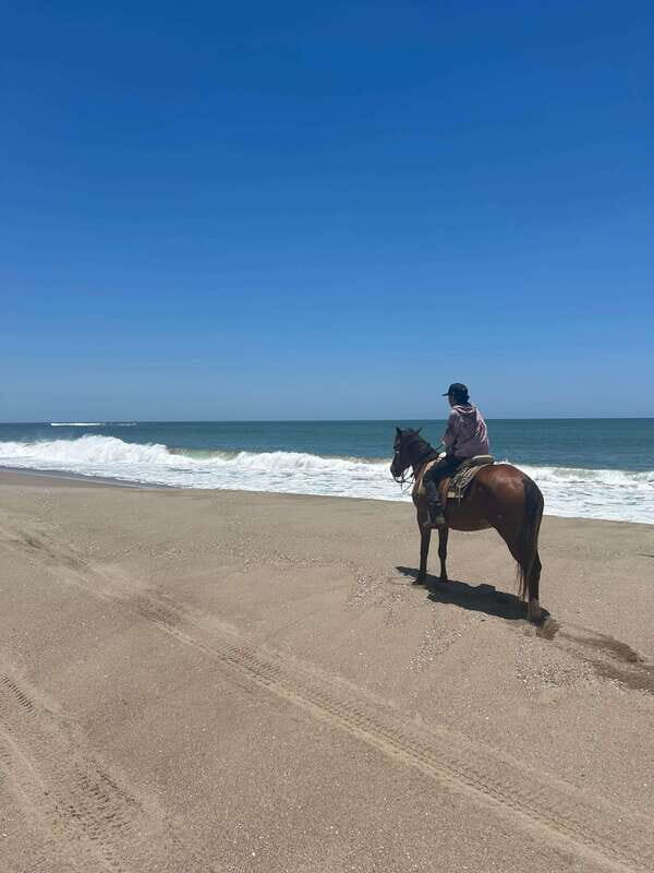 Jungle and beach horseback ride + lunch + mezcal - Who Is This Tour For?