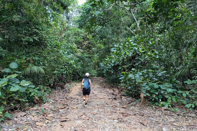 Jungle and Heritage Walk in Singapore - A Genuine Blend of Nature and Heritage in Singapore