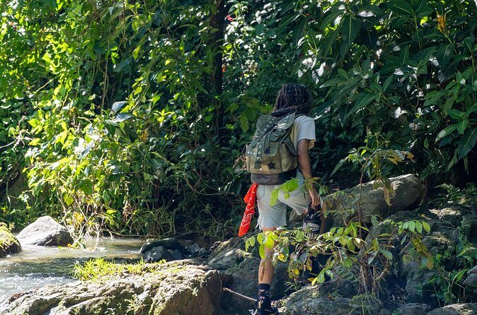 Jungle and Waterfall Adventure - Frequently Asked Questions