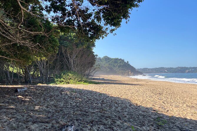 Jungle & Beach: Hidden treasures between the Jungle and the Coast - FAQ