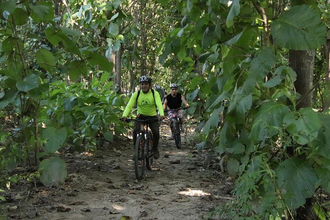 Jungle Bike Tour - An In-Depth Look at the Jungle Bike Tour