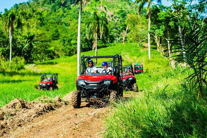 Jungle Buggies and Monkeyland from Punta Cana - The Value for Money