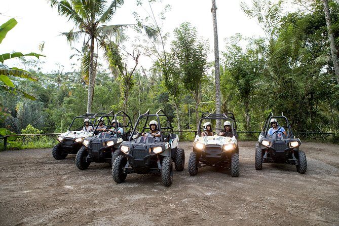 Jungle Buggy Adventure and Ubud Tour - A Deep Dive into the Jungle Buggy Adventure and Ubud Tour
