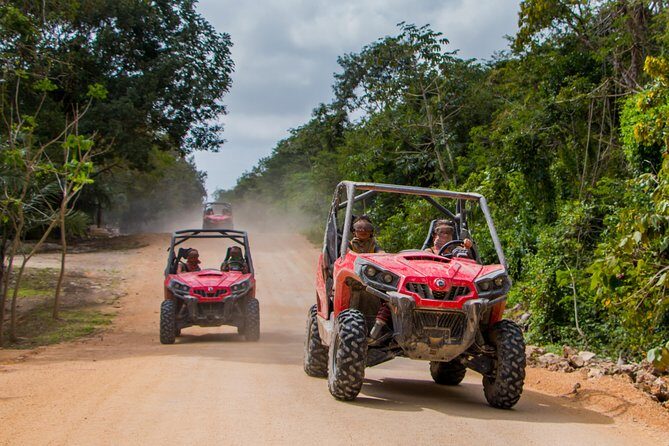 Jungle Buggy Tour from Playa del Carmen Including Cenote Swim - An Adventure for All the Senses