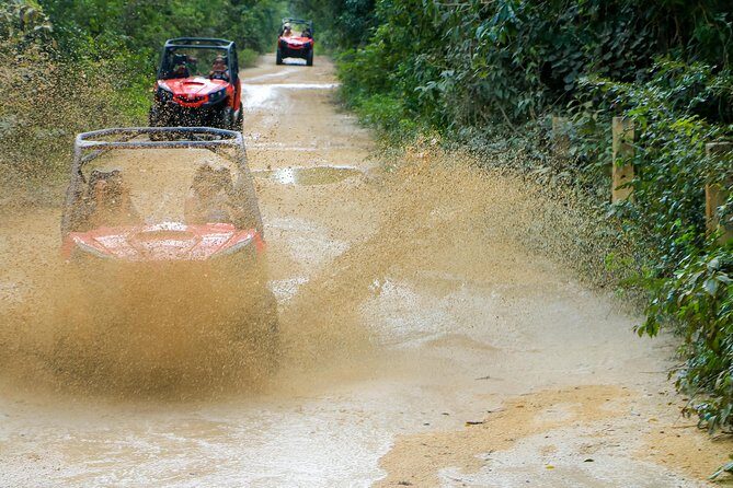 Jungle Buggy Tour from Playa del Carmen Including Cenote Swim - The Sum Up: Who Will Love This Tour?