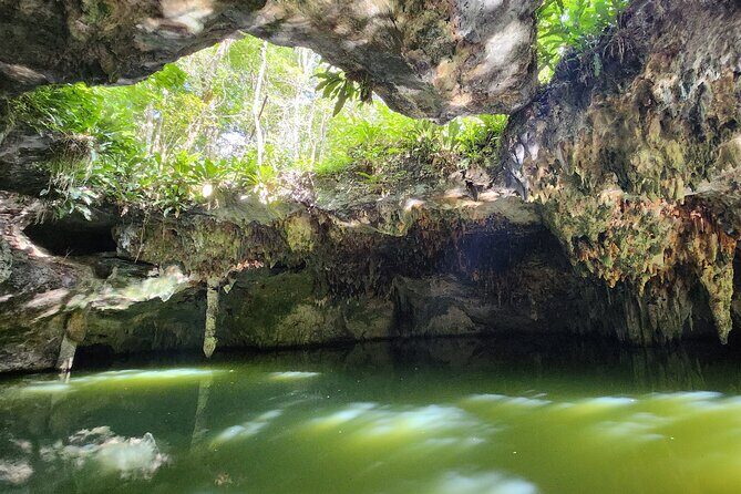 Jungle, Caverns and Tequila Mayan ATV Experience - A Closer Look at the Jungle, Caverns and Tequila ATV Tour