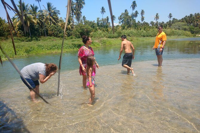 Jungle Coyuca Lagoon Boat Ride Experience & Baby Turtle Release - Who Will Love This Tour?