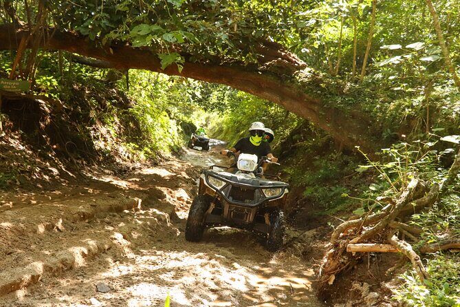 Jungle double ATV Tour "El Mirador" (ride tandem on ATV) - Who Will Love This Experience?