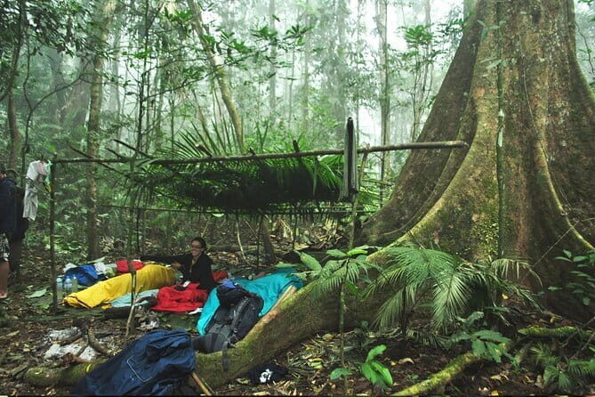 Jungle Experience: 1 Day Trek in Nam Ha NPA - Who Should Consider This Tour?