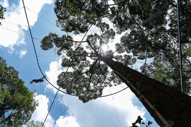 Jungle Flight Zipline Adventure From Chiang Mai - Who Should Consider This Tour?