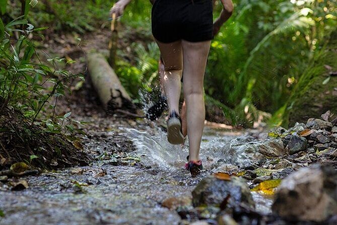 Jungle Hiking Adventure and Waterfall Swim. Nogalito Ecopark - An In-Depth Look at the Tour Itinerary