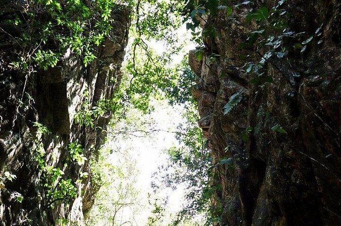 Jungle Hiking Adventure and Waterfall Swim. Nogalito Ecopark - Who Will Love This Tour?