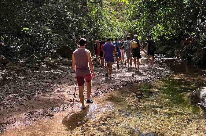 Jungle Hiking Adventure and Waterfall Swim. Nogalito Ecopark - The Sum Up