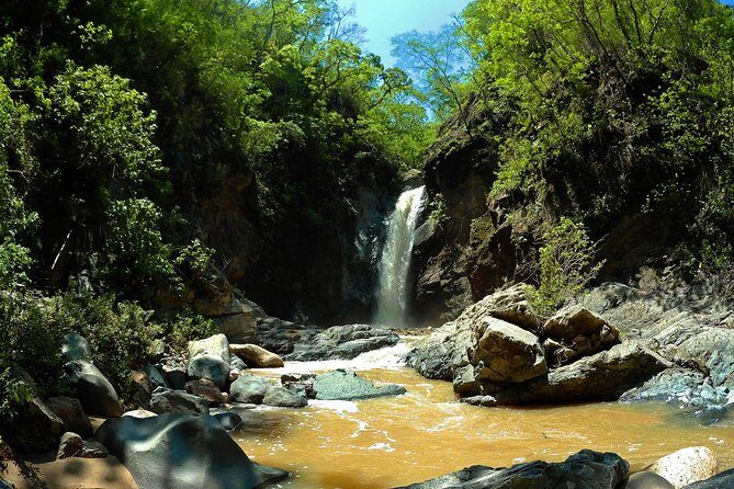 Jungle HorseBack Adventure to Las Palmas Waterfall All Included - In-Depth Itinerary Breakdown