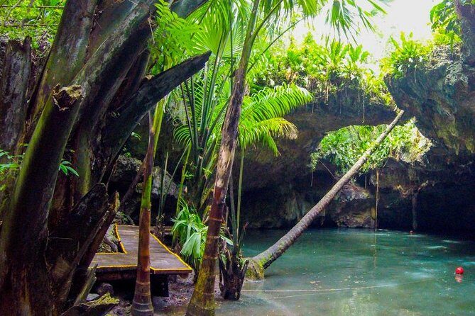 Jungle Jeep Adventure to Mayan Caves, Cenote and Snorkel - An In-Depth Look at the Jungle Jeep Adventure