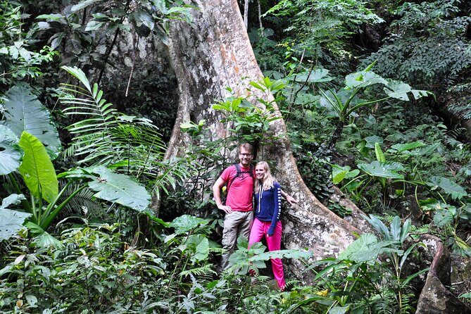 Jungle Life In Ba Be National Park 4 Days 3 Nights - Day Four: Returning with a Magical Cave Visit
