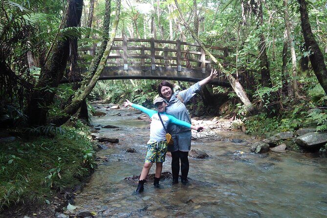 Jungle River Trek: private tour in Yanbaru, north Okinawa - A Practical Look at What to Expect from the Jungle River Trek
