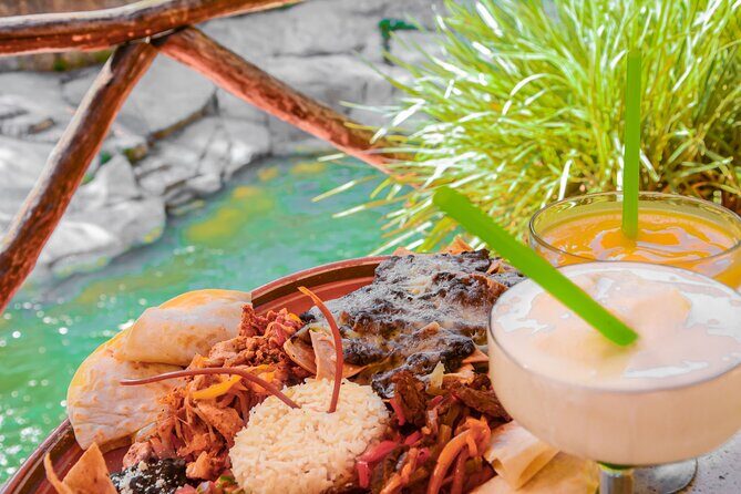 Jungle & River Zipline Tour  Choose Boat or Van Ride - Price and Value: Is It Worth It?