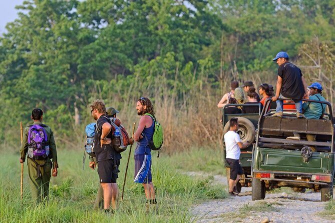 Jungle Safari Tour in Chitwan National Park - The Sum Up: Who Is This Tour Best For?