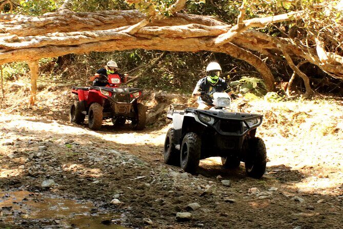 Jungle Single ATV Tour "El Mirador" - Whats Included and How That Adds Value