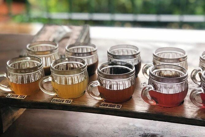 Jungle Swing - Volcano - Water Temple - Monkey Forest and Waterfall Tour - What Travelers Say