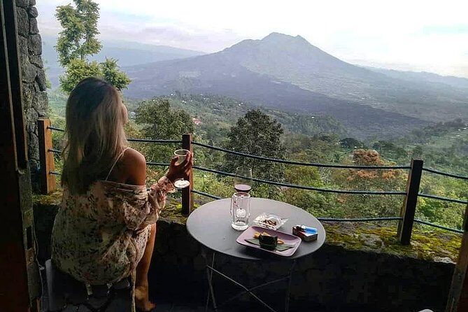 Jungle Swing - Volcano - Water Temple - Monkey Forest and Waterfall Tour - Final Thoughts