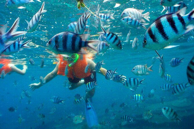 Jungle Tour Adventure in Cancun with Snorkeling - A Closer Look at What’s Included and Not