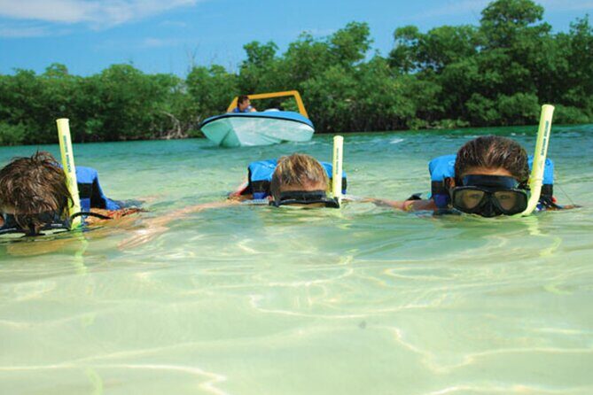 Jungle Tour Adventure in Cancun with Snorkeling - Who Should Book This Experience?