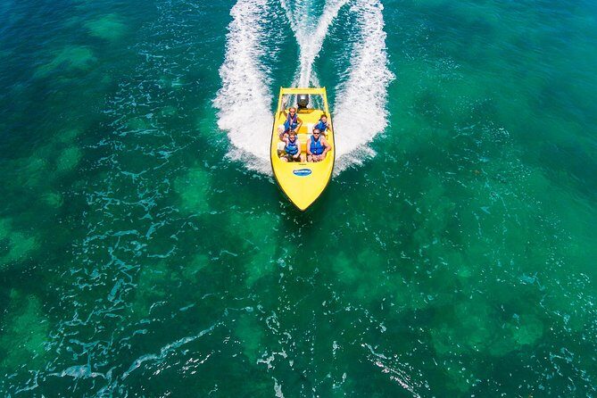 Jungle Tour with Snorkel in Cancun - The Value of the Tour