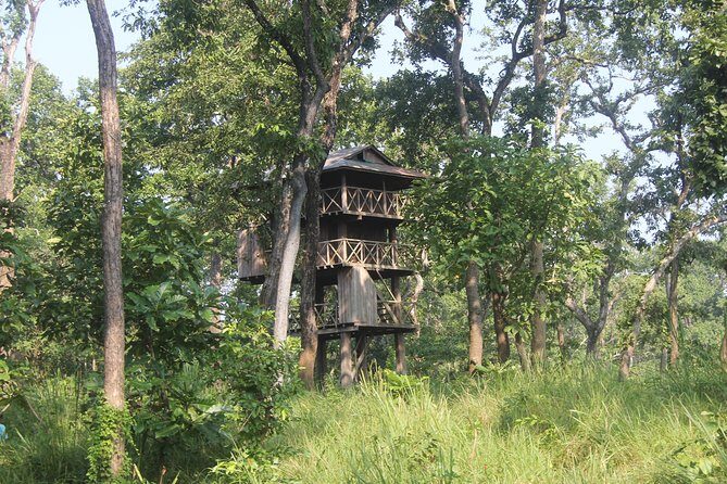Jungle Towernight Stay In Chitwan National Park ,nepal-2 Nights 3 Days Package - The Setup: How Does the Jungle Tower Experience Work?