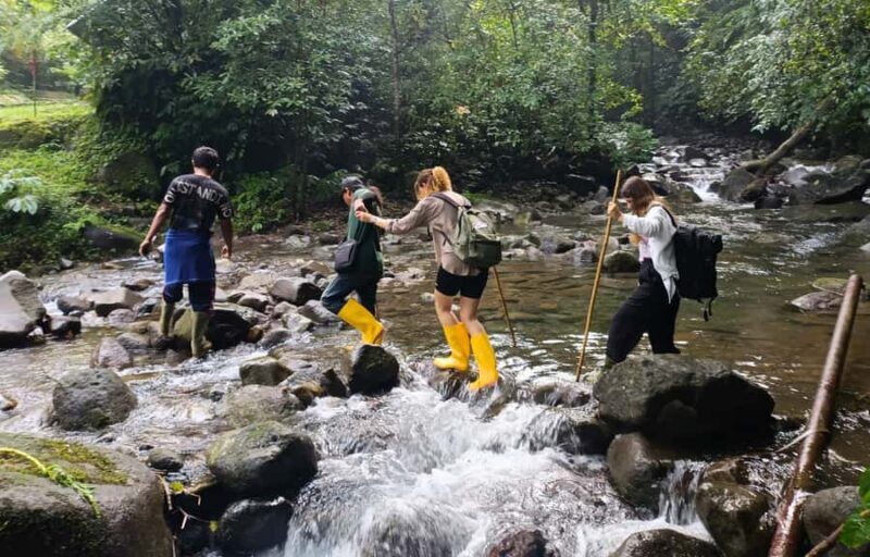 Jungle Trekking at Mt. Batukaru, scenic Waterfall & village - Key Points