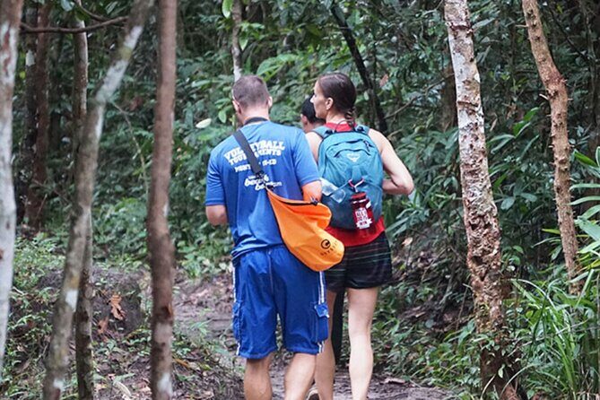 Jungle Trekking Tour at Phnom Kulen National Park from Siem Reap - What Travelers Say: Authenticity and Value