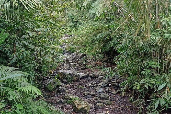 Jungle Trekking With Jatiluwih Unesco Heritage Site in Tabanan - Who Should Consider This Tour