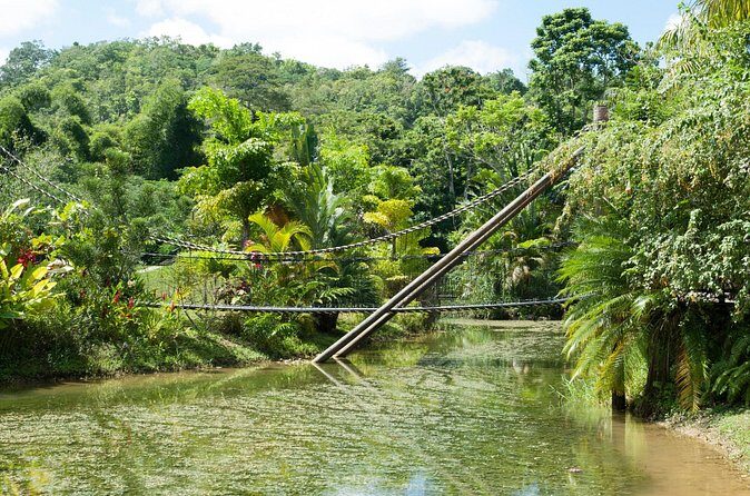 Jungle Zipline and River Tubing Private Tour - The Sum Up: Who Will Enjoy This Experience?