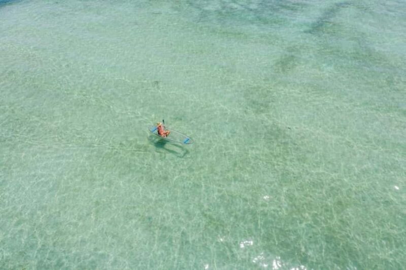 Jupiter Clear Kayak Guided Tour - Practical Details and Considerations