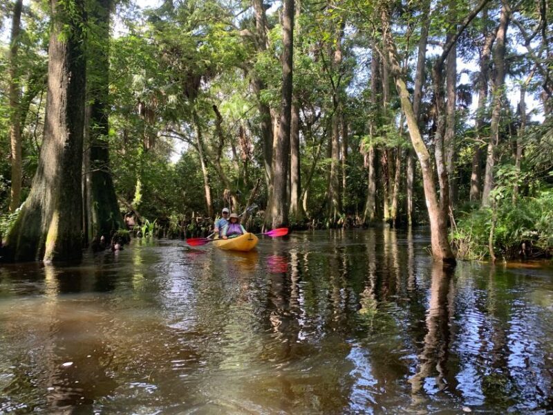 Jupiter: Wild and Scenic Loxahatchee River Kayak Tour - Key Points