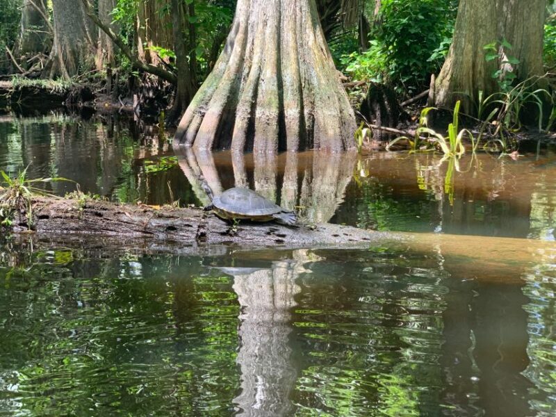 Jupiter: Wild and Scenic Loxahatchee River Kayak Tour - The Sum Up