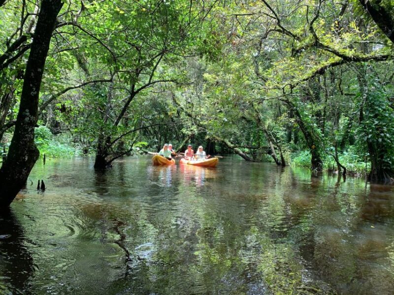 Jupiter: Wild and Scenic Loxahatchee River Kayak Tour - FAQ