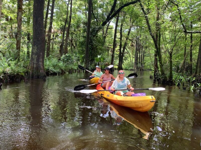 Jupiter: Wild and Scenic Loxahatchee River Kayak Tour - Who Is This Tour Best For?