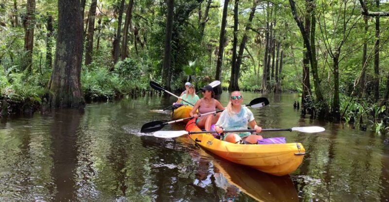 Jupiter: Wild and Scenic Loxahatchee River Kayak Tour - Final Thoughts