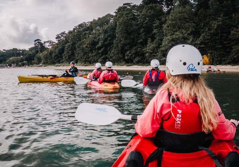 Jurassic Coast Kayaking Tour to Old Harry Rocks - Final Thoughts: Who Should Consider This Tour?