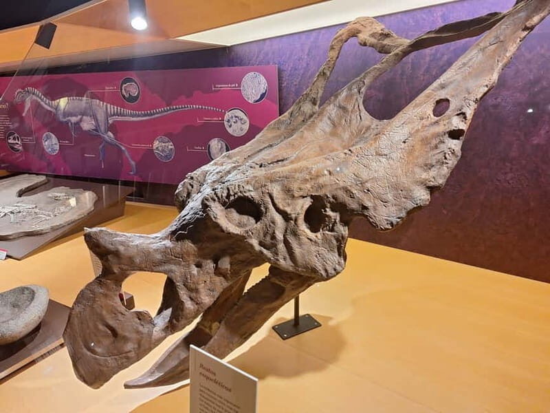 Jurassic Museum of Asturias Guided Tour from Oviedo - Detailed Breakdown of the Itinerary